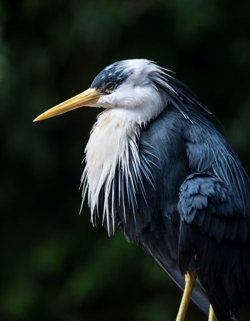 Walking Softer | Home